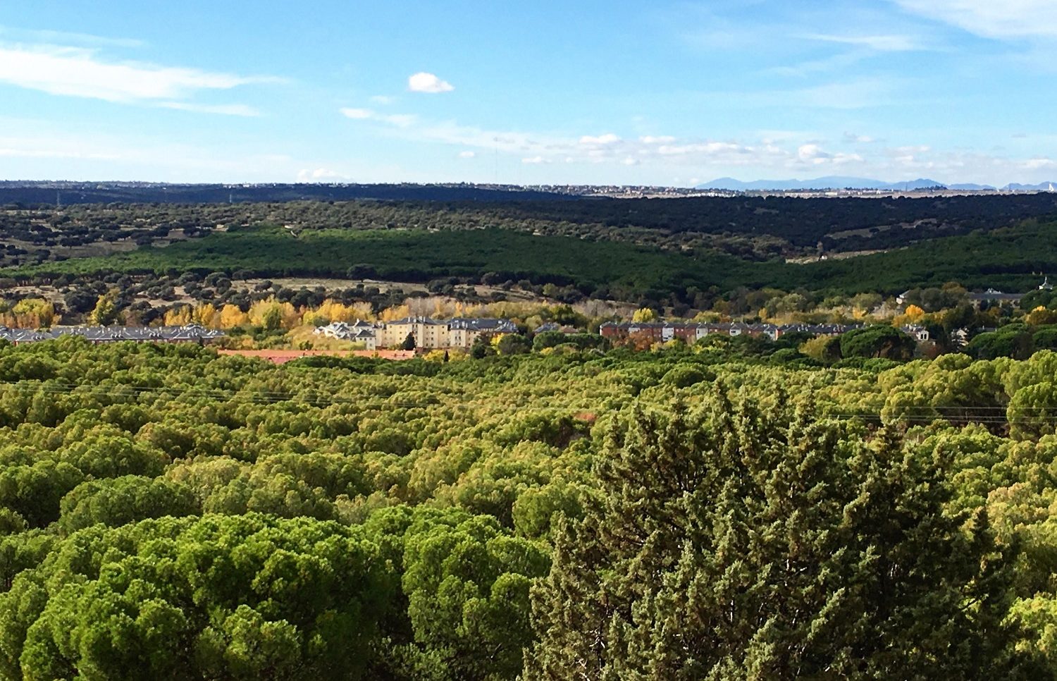 Monte de El Pardo - El Pardo