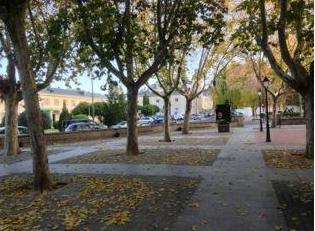 ¿Qué es El Pardo para ti? Plásmalo en un dibujo - El Pardo